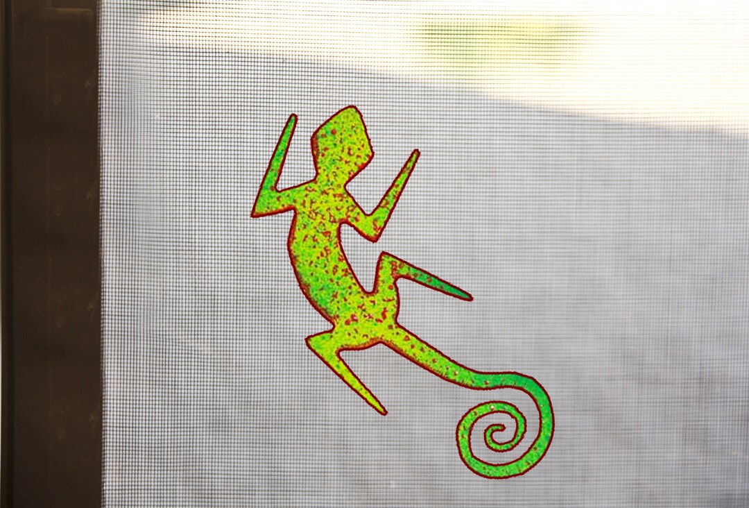 Lizard Magnetic Screen Saver - Etsy