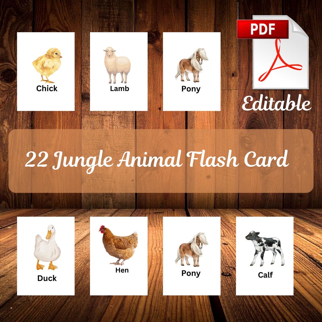 Jungle Animals Flash Cards • 22 Montessori Editable Cards (PDF) - Etsy