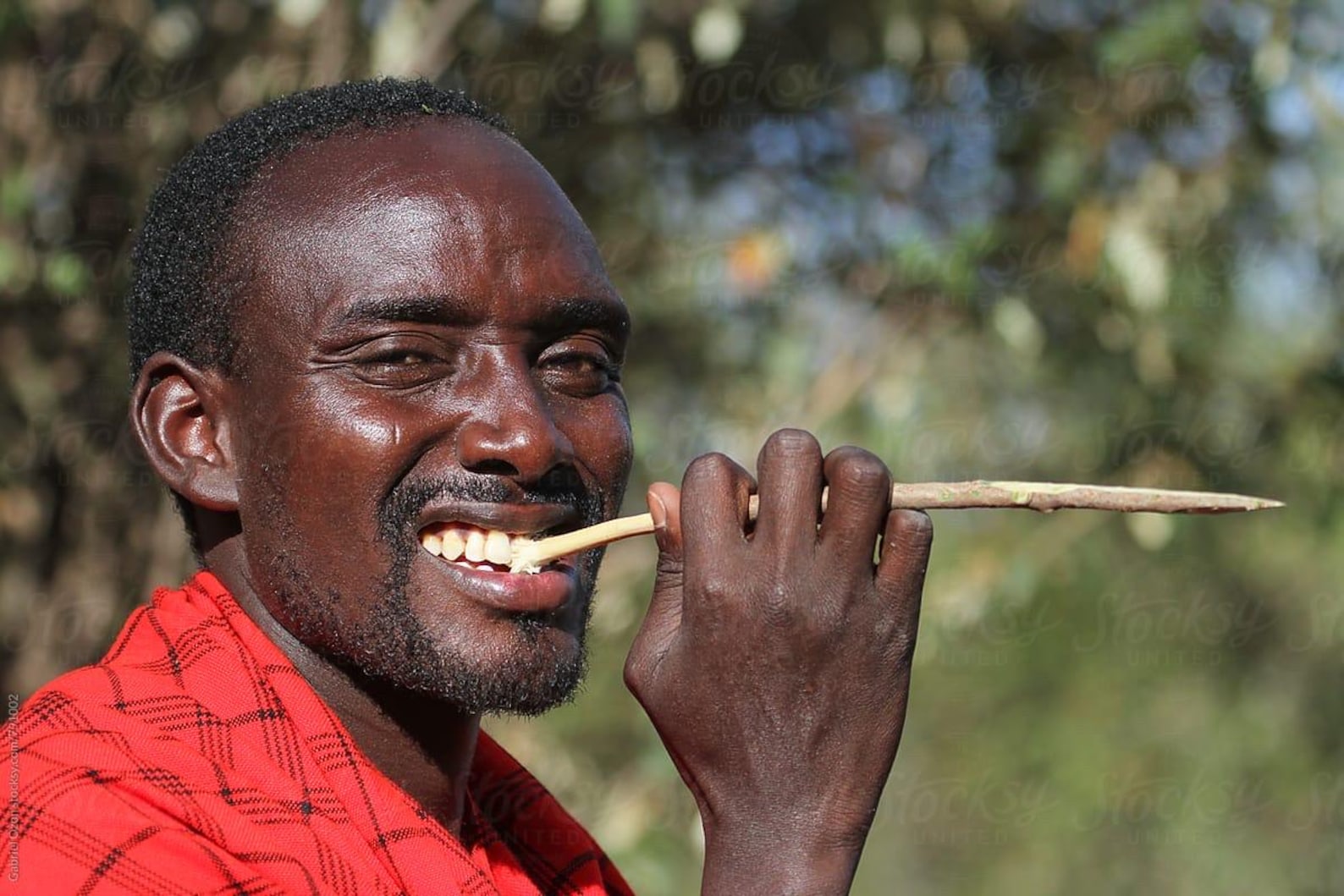 African Toothbrush Stick/ Native Toothbrush Stick (10pcs) - Etsy