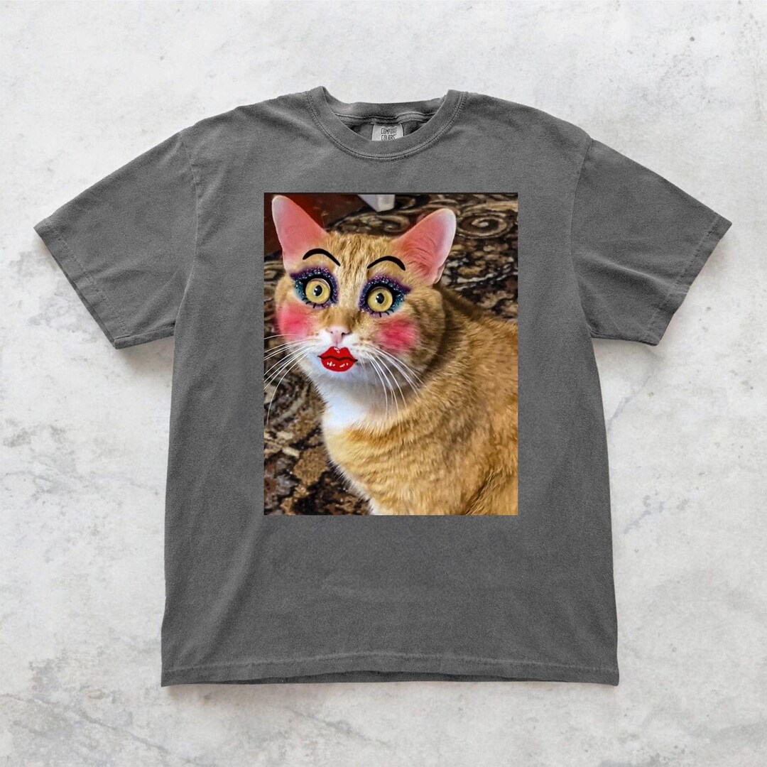 Comfort Colors Cat Meme Shirt, Funny Hoodie, Parody Sweatshirt, Viral ...