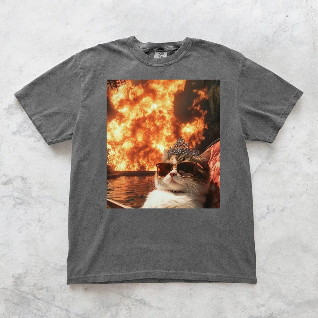 Comfort Colors Cat Meme Shirt, Funny Hoodie, Parody Sweatshirt, Viral ...