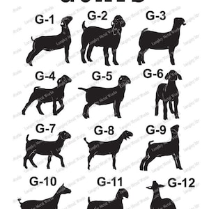 Metal Livestock Show Banners, Champion Awards for All Breeds - Etsy