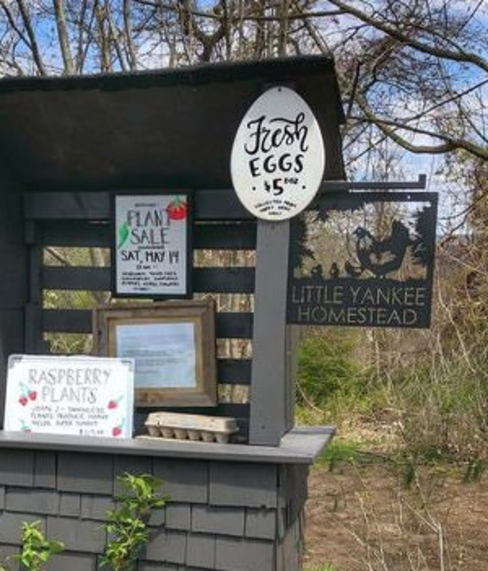 Chicken Farm Sign Chicken and Chick Custom Metal Indoor or - Etsy