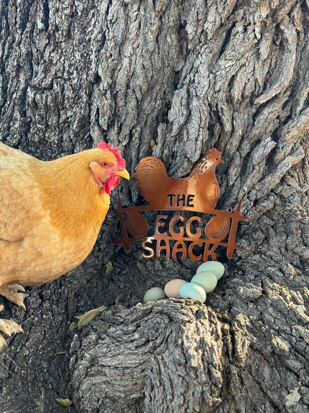 Custom Chicken Egg Sign, Metal Outdoor Chicken Coop Gifts - Etsy