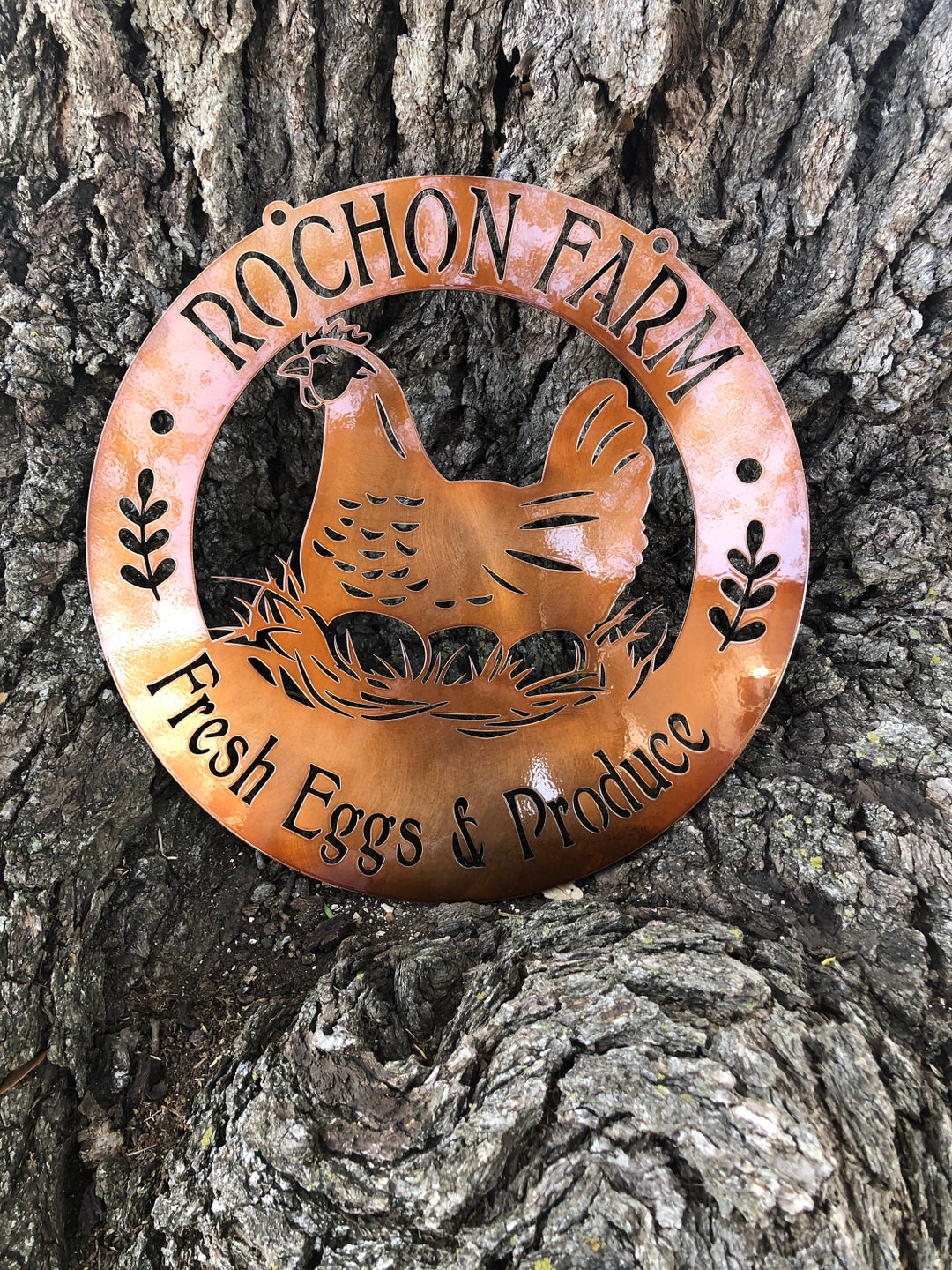 Custom Metal Chicken Sign, Personalized Chicken Coop Gift - Etsy