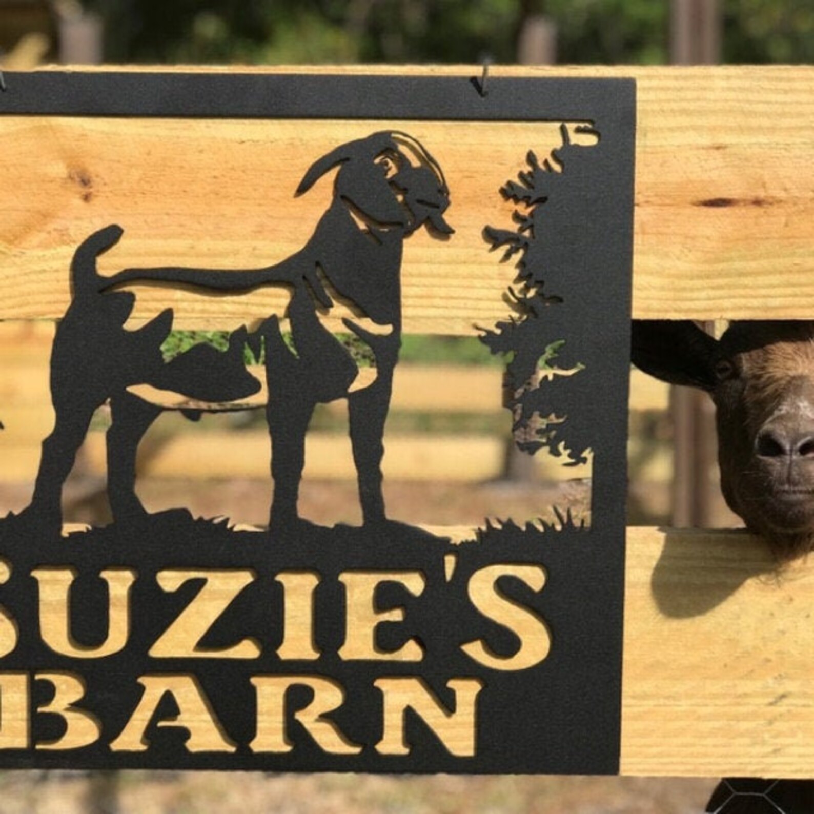 Boer Goat Farm Sign | Etsy