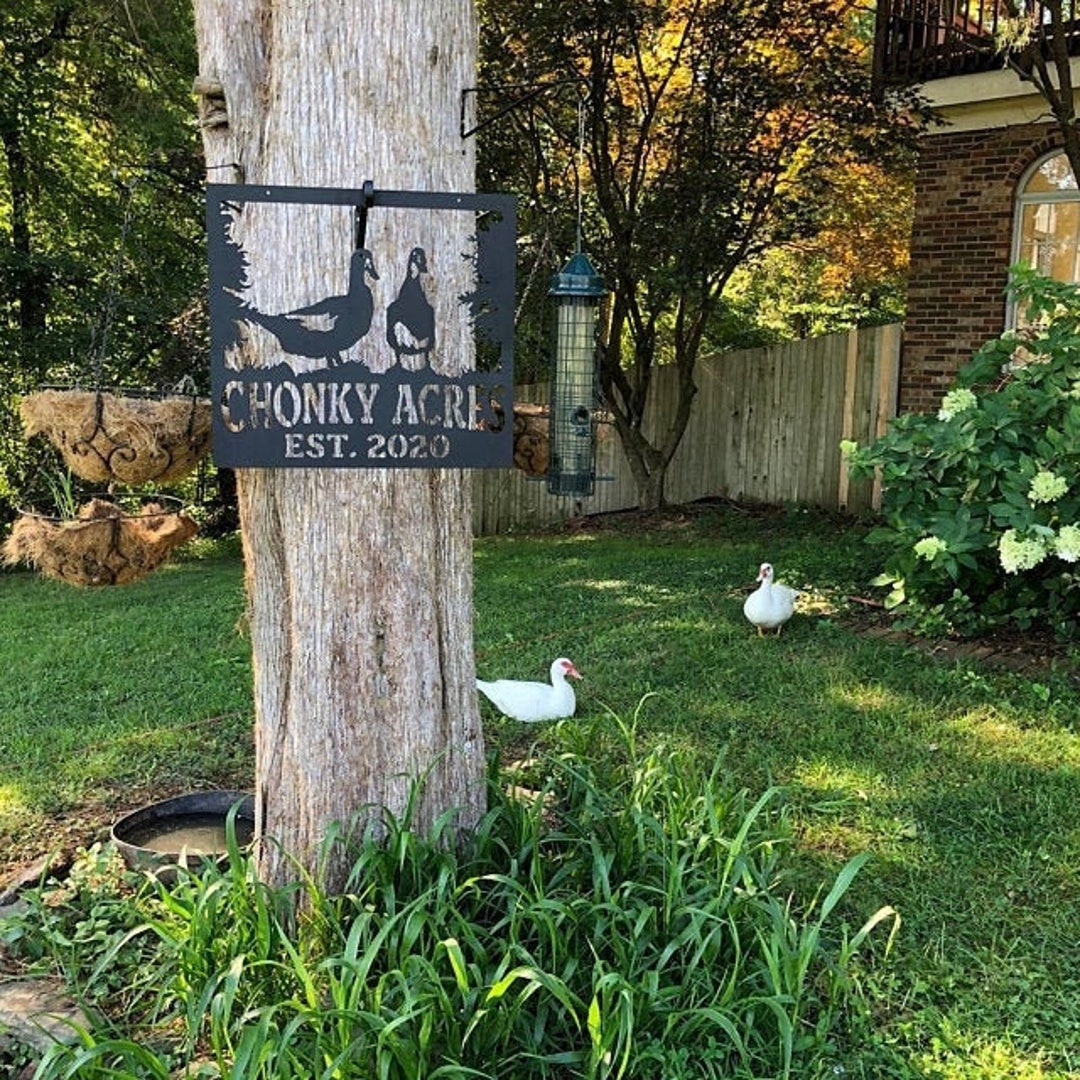 Farm Duck Metal Sign, Custom Indoor or Outdoor Duck Farm Sign - Etsy