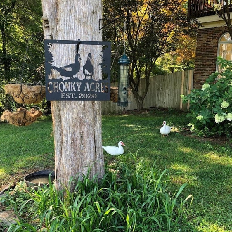 Farm Duck Metal Sign Custom Indoor or Outdoor Duck Farm Sign - Etsy