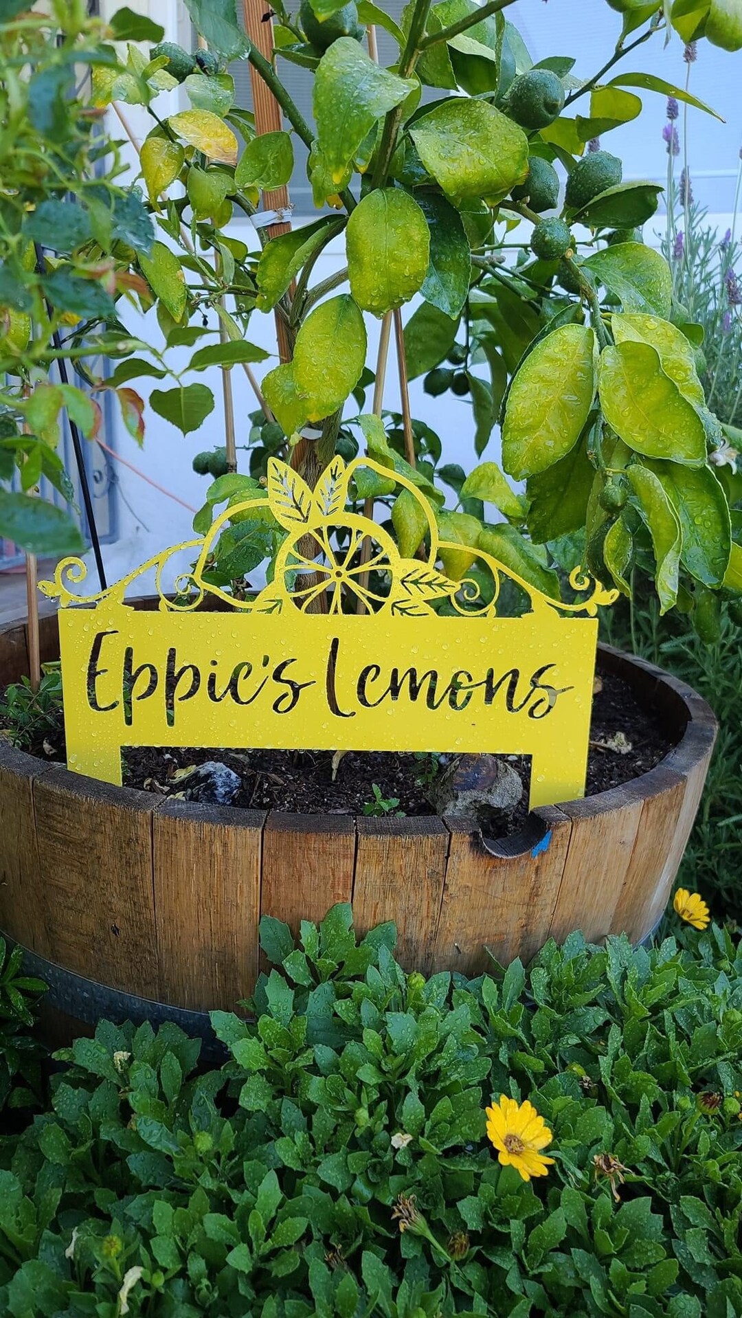 Metal Lemon Garden Sign, Personalized Lemonade Stand Decorations - Etsy