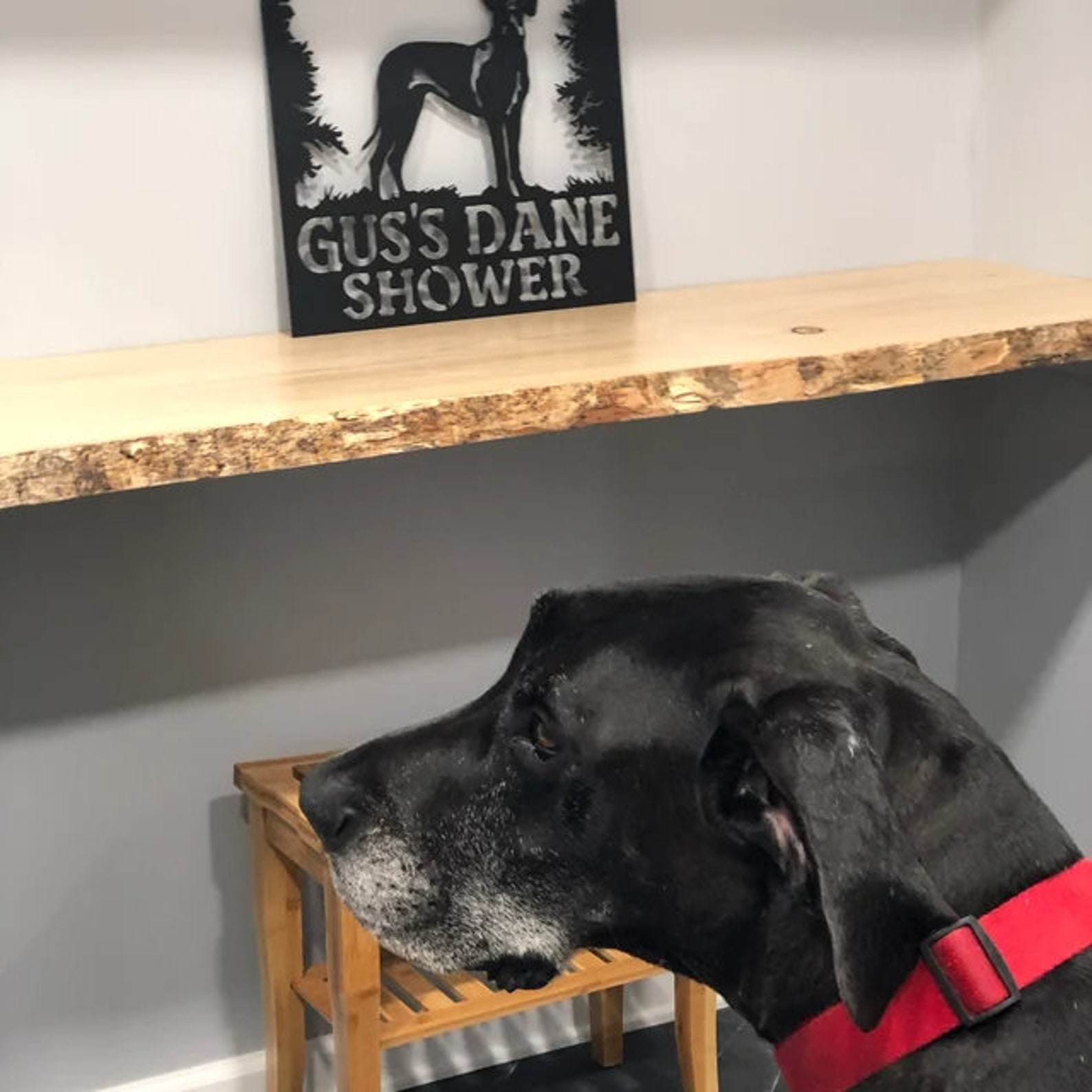 Custom Great Dane Metal Dog Sign - Etsy
