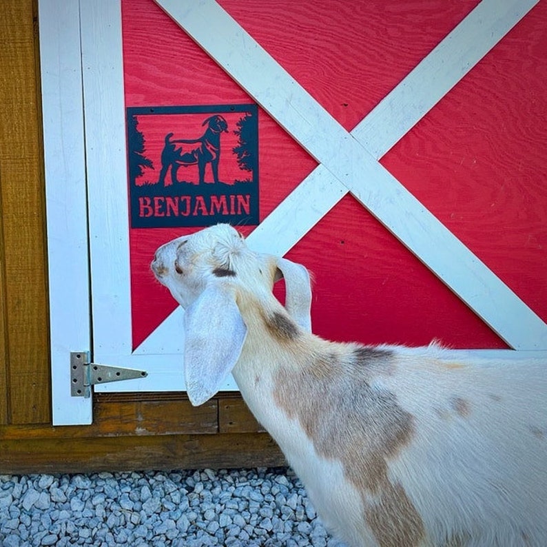 Boer Goat Farm Sign - Etsy