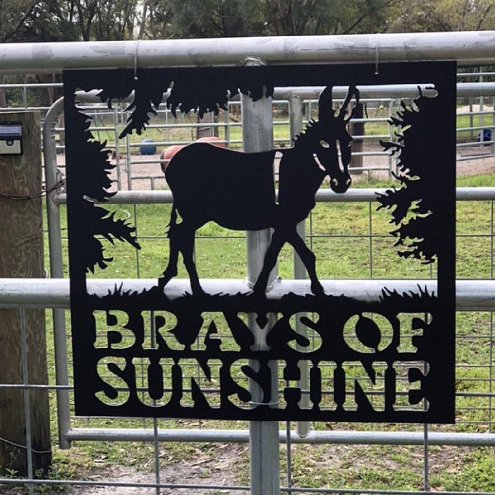 Your Name Custom Metal Farm Donkey Sign - Etsy