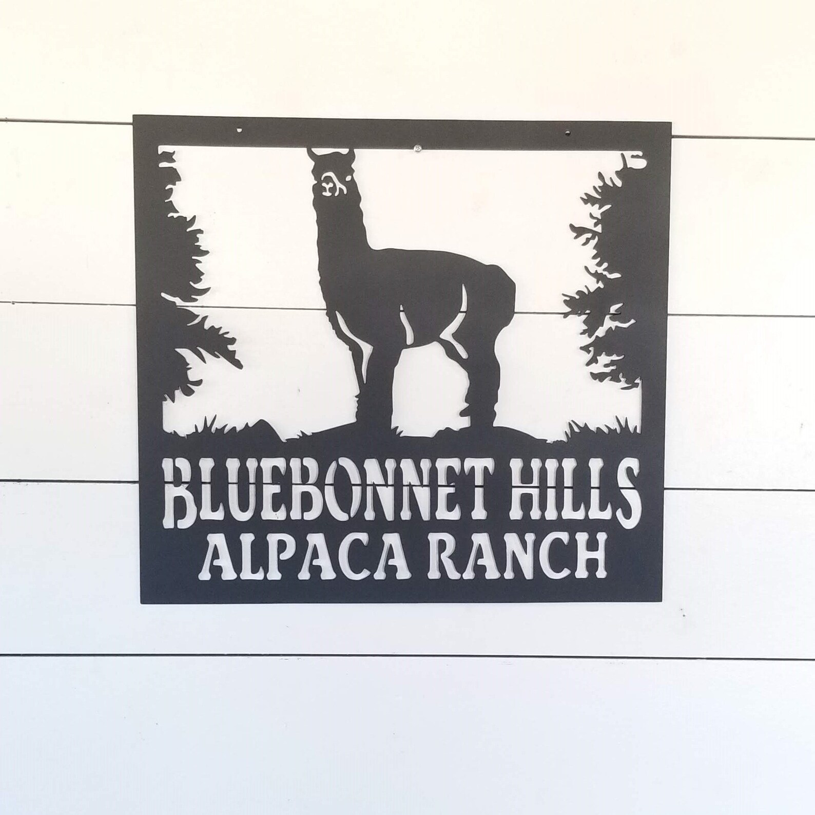 Alpaca Metal Custom Farm Sign Personalized With Your Name - Etsy