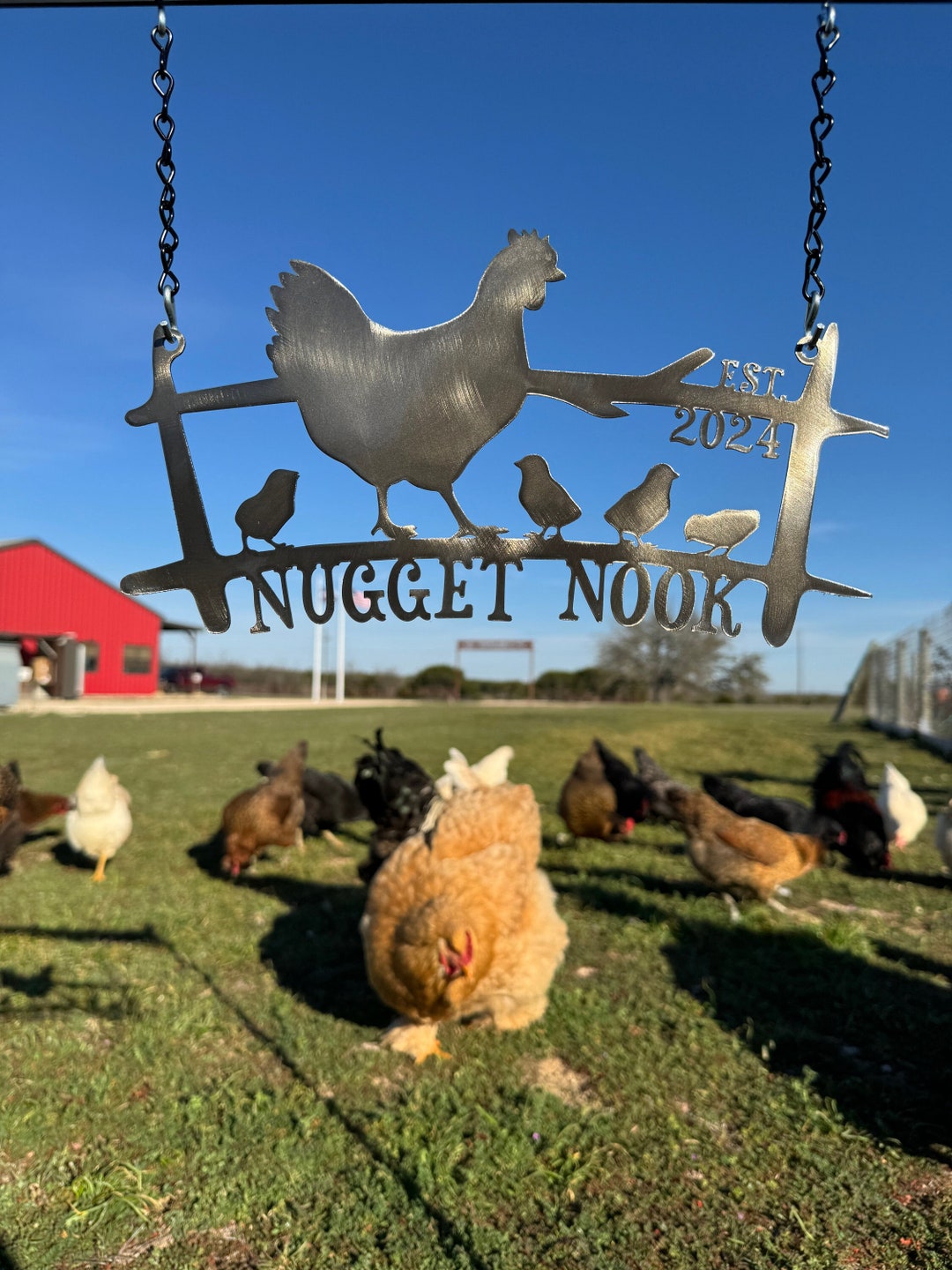Metal Hanging Chicken Signs, Chicken and Chicks Personalized Sign - Etsy