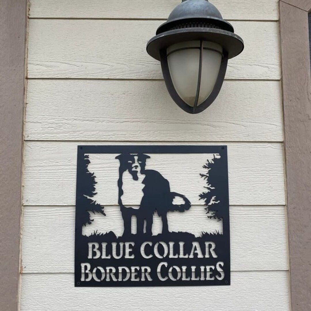 Border Collie Metal Sign: Personalized Herding Dog - Etsy