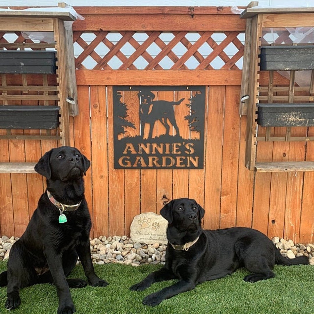 Are Labrador Retrievers Bird Dogs