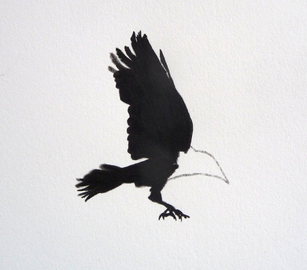Jackdaw Original Charcoal Sketch, Original Art, Charcoal Drawing ...