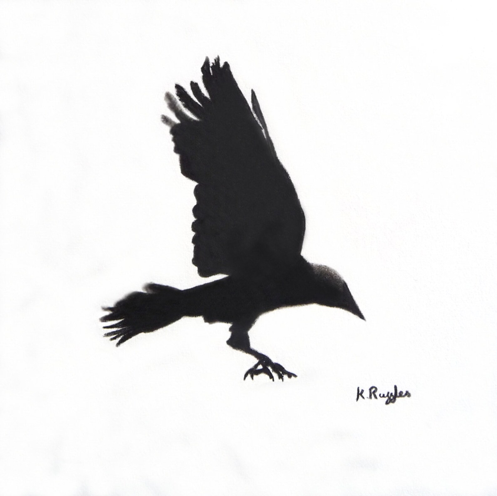Jackdaw Original Charcoal Sketch, Original Art, Charcoal Drawing ...