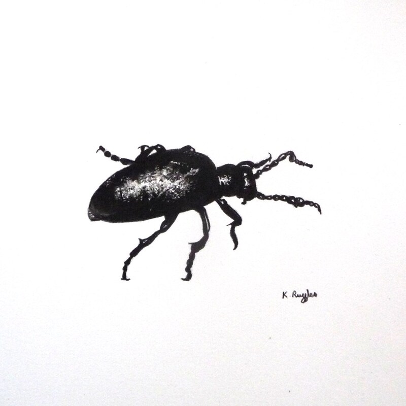 Insect Drawings - Etsy