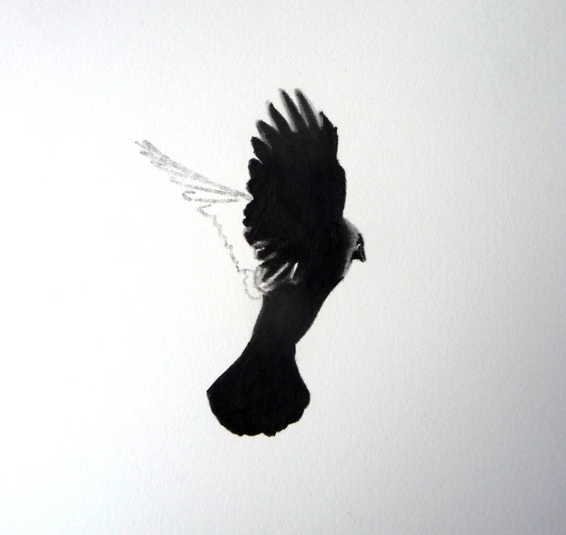 Jackdaw Original Charcoal Sketch, Crow Drawing, Original Art, Charcoal ...