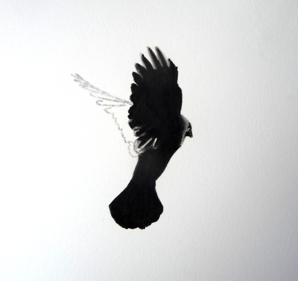 Jackdaw Original Charcoal Sketch, Crow Drawing, Original Art, Charcoal ...