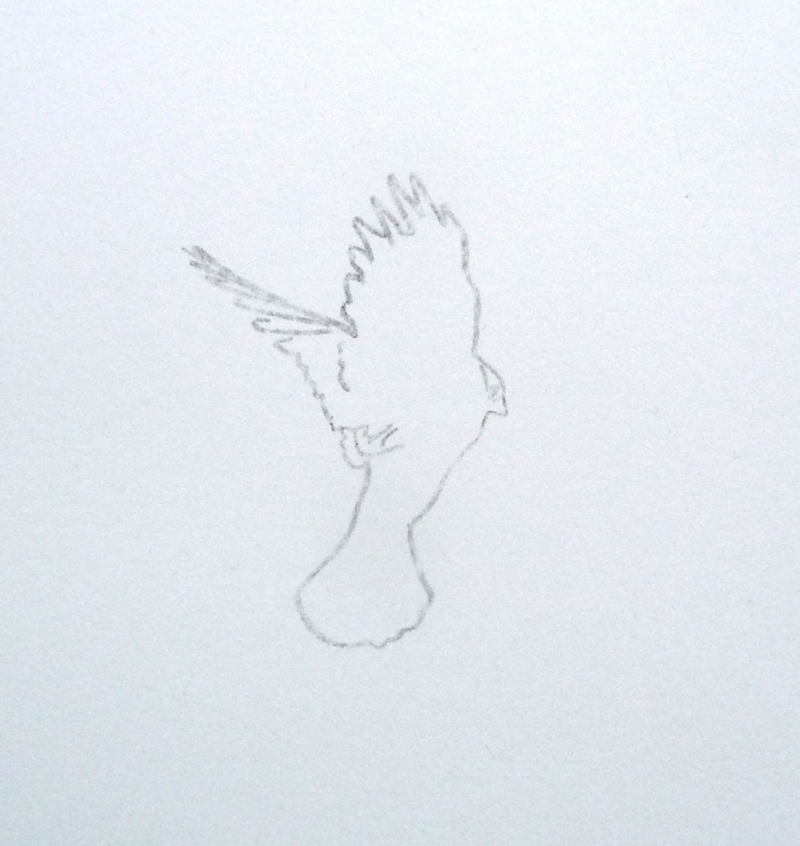 Jackdaw Original Charcoal Sketch, Crow Drawing, Original Art, Charcoal ...