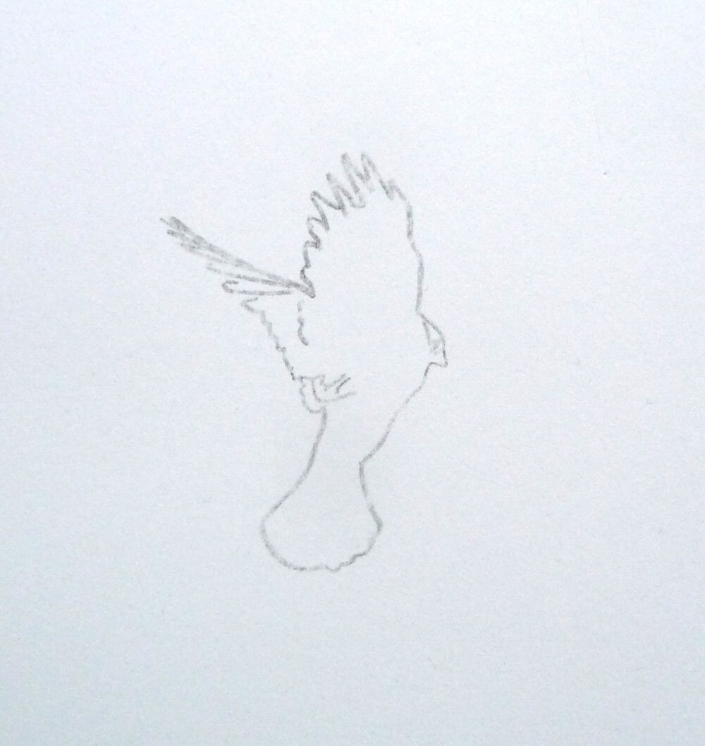Jackdaw Original Charcoal Sketch, Crow Drawing, Original Art, Charcoal ...