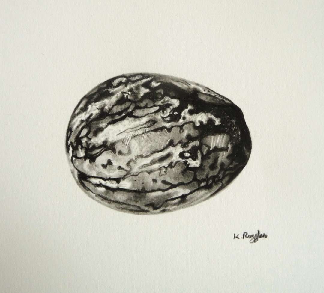 Nutmeg Original Charcoal Pencil Drawing Framed Food Art Ideal - Etsy