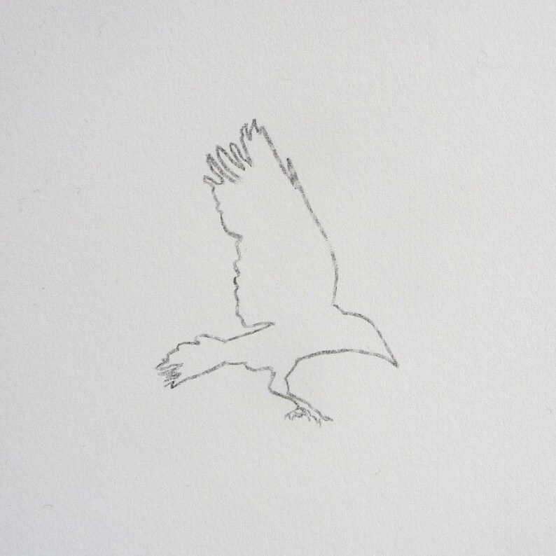 Jackdaw Original Charcoal Sketch, Original Art, Charcoal Drawing ...