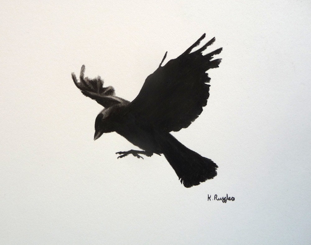 Crow In Flight Drawing