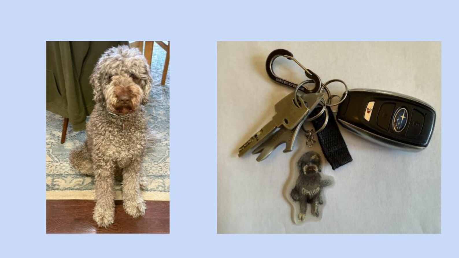 Hand-drawn Pet Keychain - Etsy