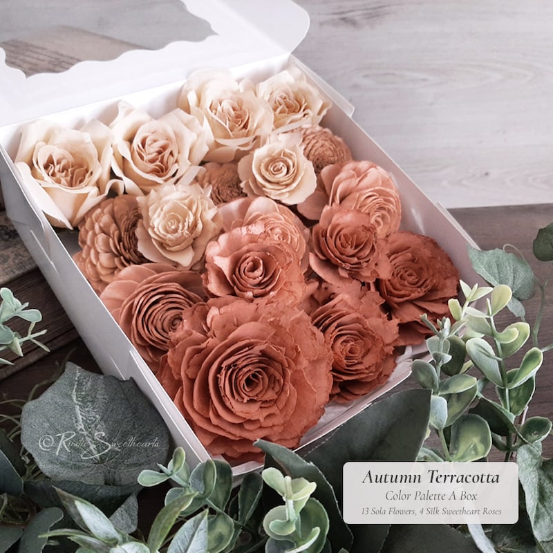 Terracotta Color Palette - Etsy