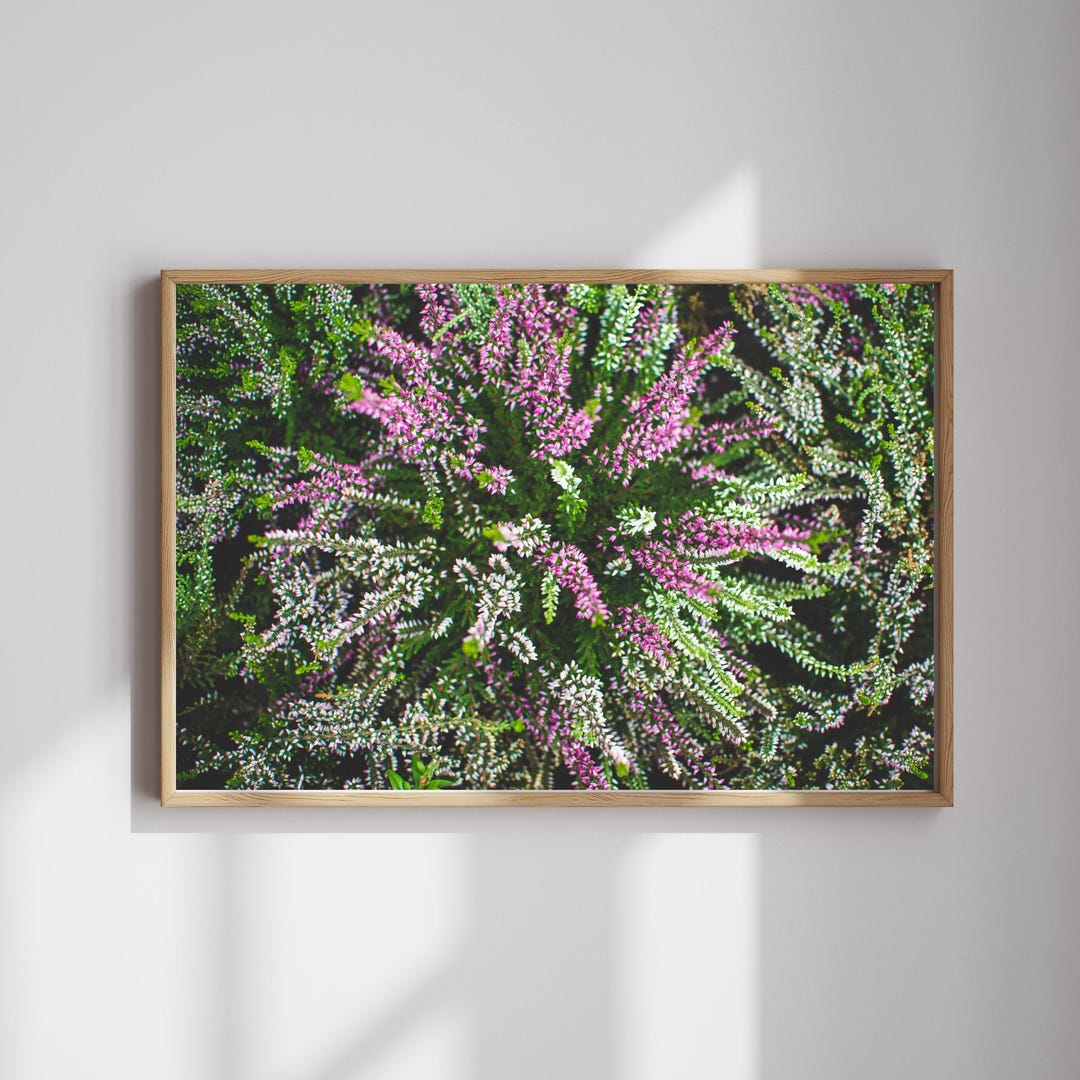 Flower Print, Printable Photograph, Botanical Photography, Digital ...