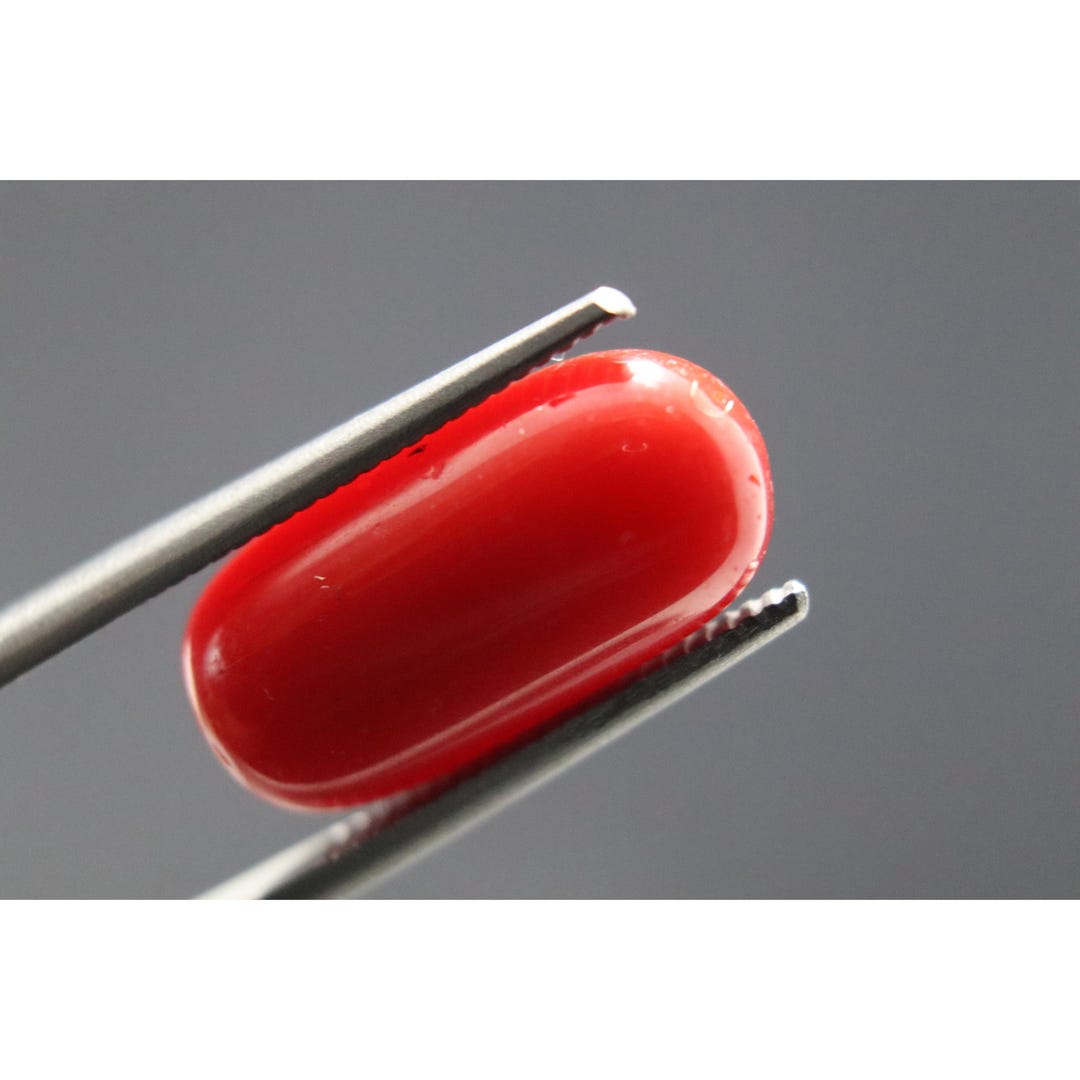 Certified Red Coral Moonga Gemstone: Polished Oval Italian Astrological ...