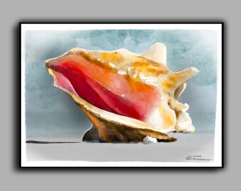 Conch Shell Print - Etsy