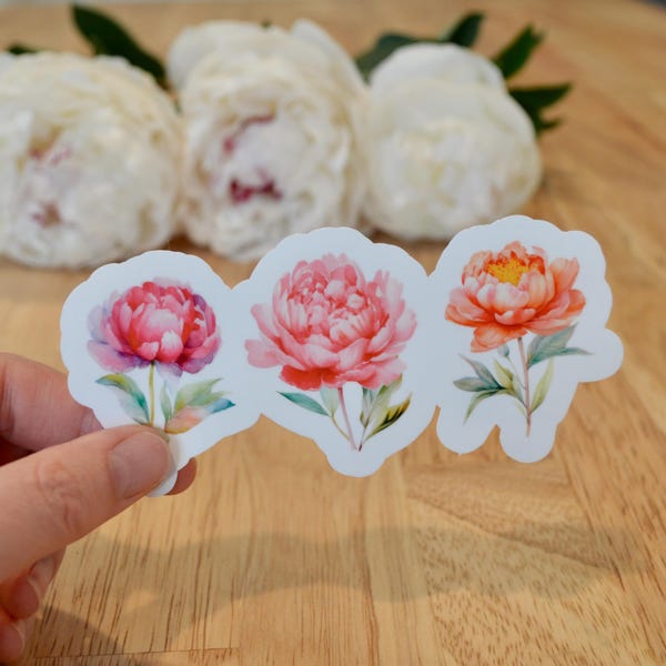 Peonies Stickers - Etsy