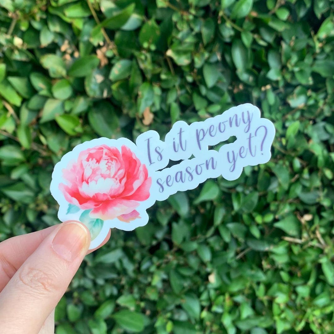 Pink Peony Sticker: Watercolor Floral Vinyl Decal - Waterproof - Etsy