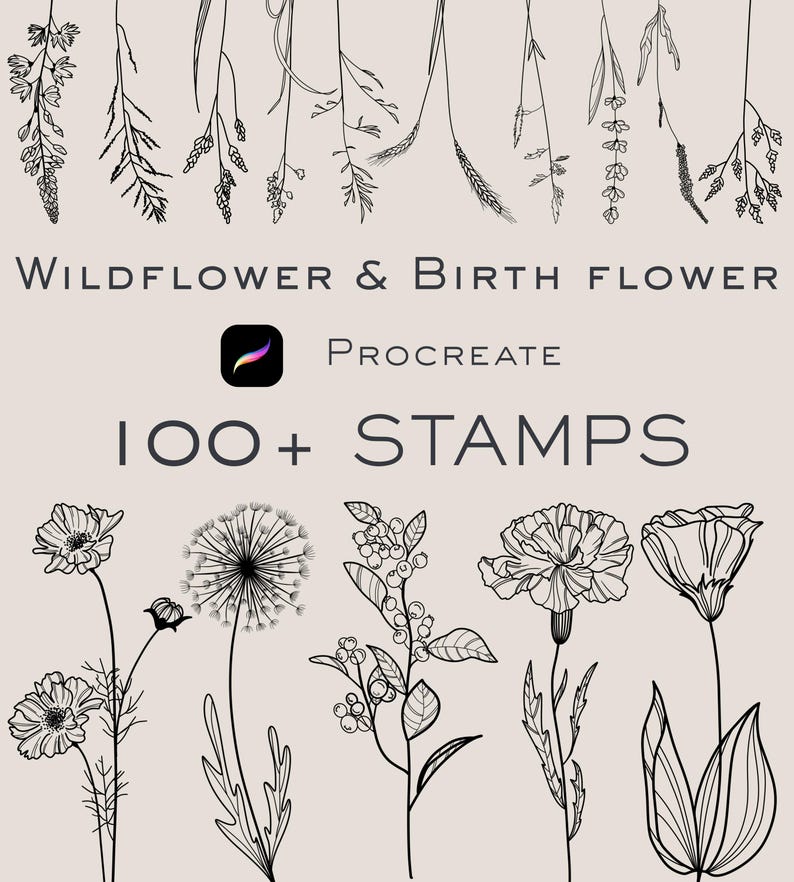 Wildflower & Birth Flower Procreate Stamps | Floral Brushes Pack ...