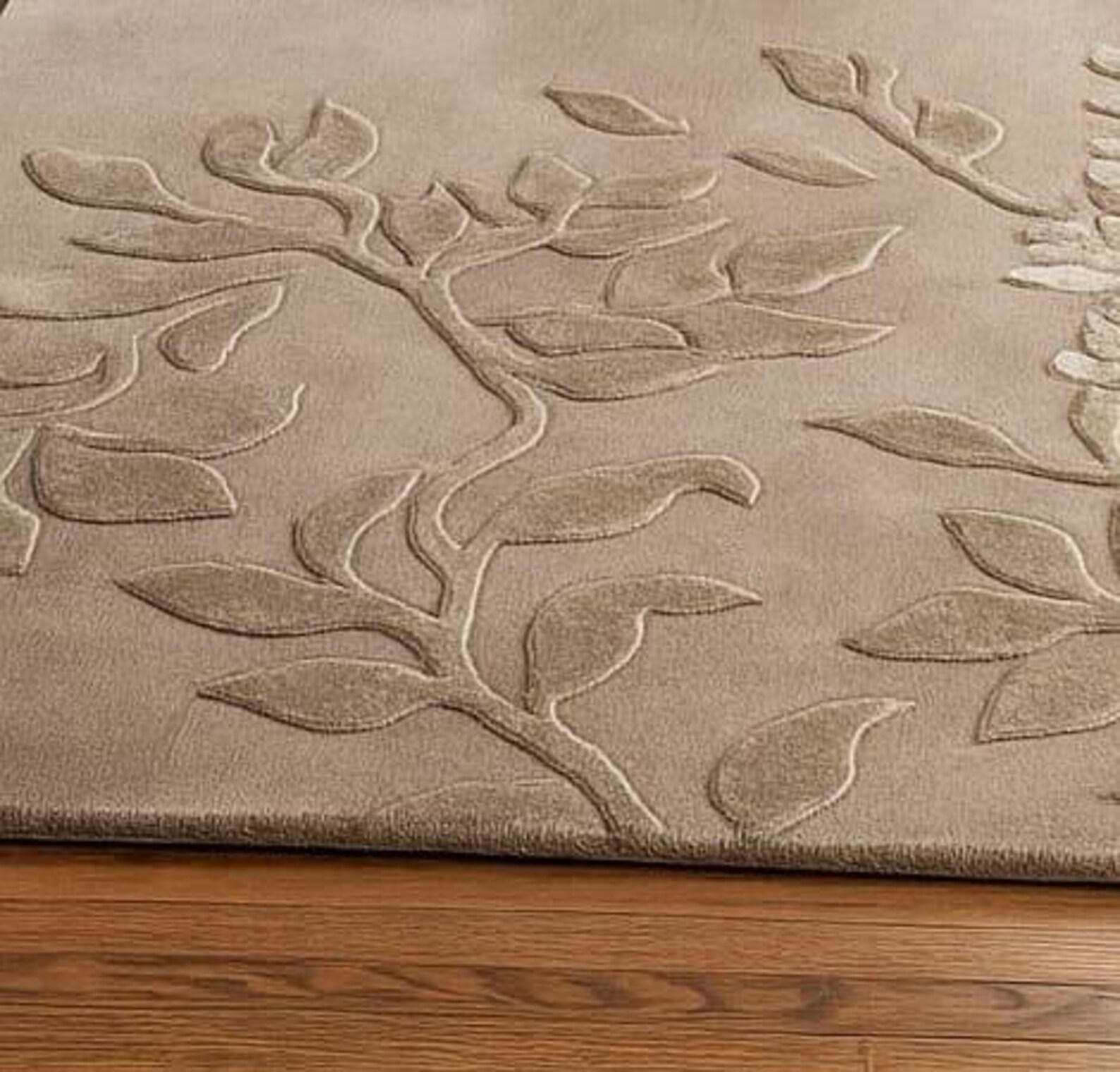 Floral Embossed Beige Viscose Rug: Hand-tufted Luxury Carpet - Etsy