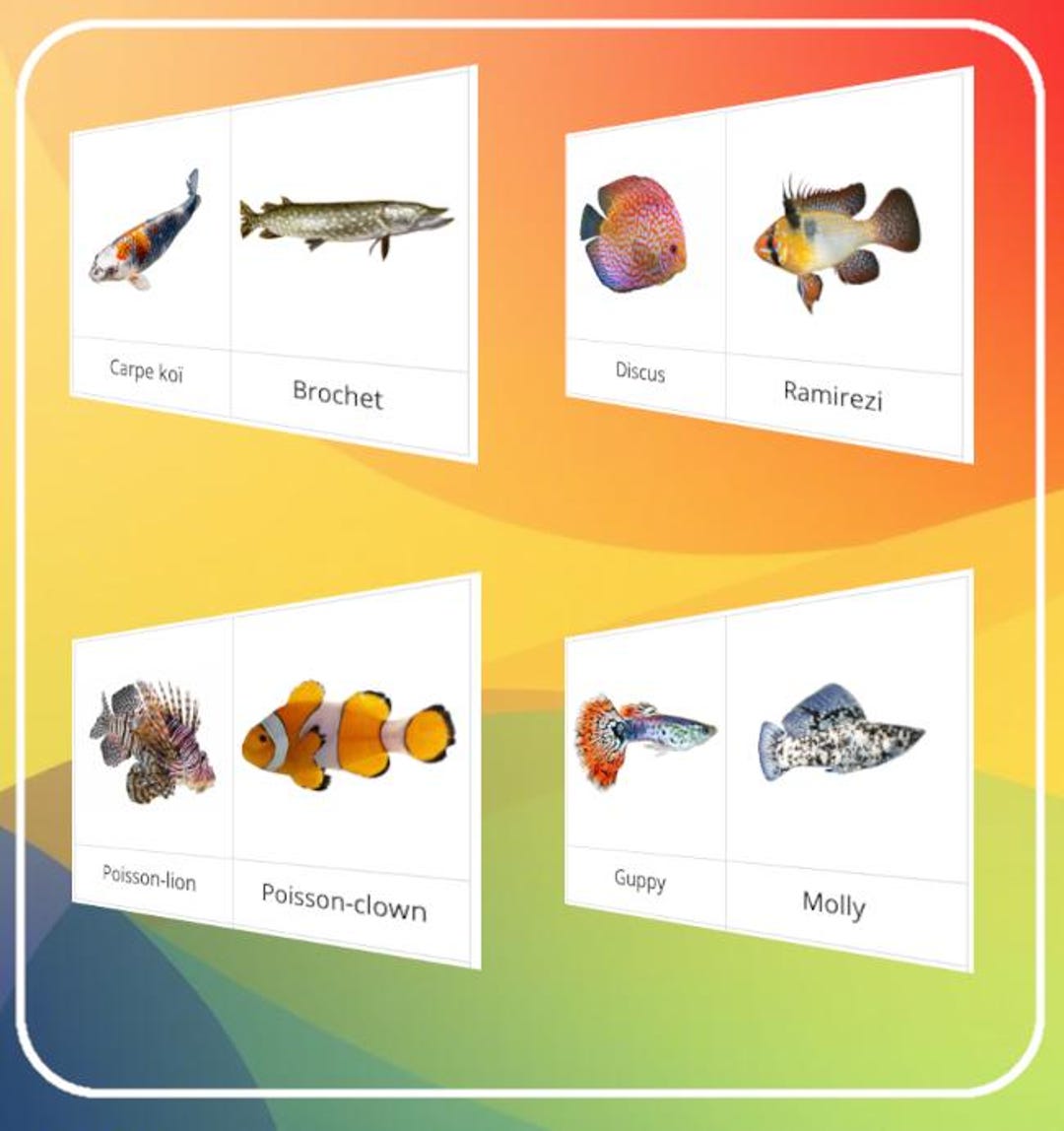 Montessori - 91 Fish Varieties Nomenclature Card / Script and Cursive ...