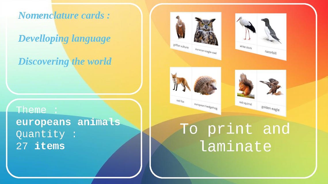 Montessori - Flashcards Set for 27 Types of European Animals - Etsy