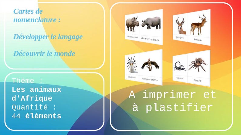 Montessori - Nomenclature Card of 44 African Animals / Script and ...