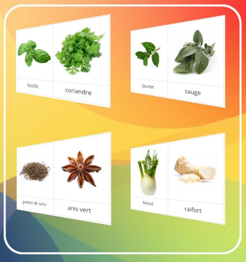 Montessori - Nomenclature Card of 35 Varieties of Herbs / Script and ...