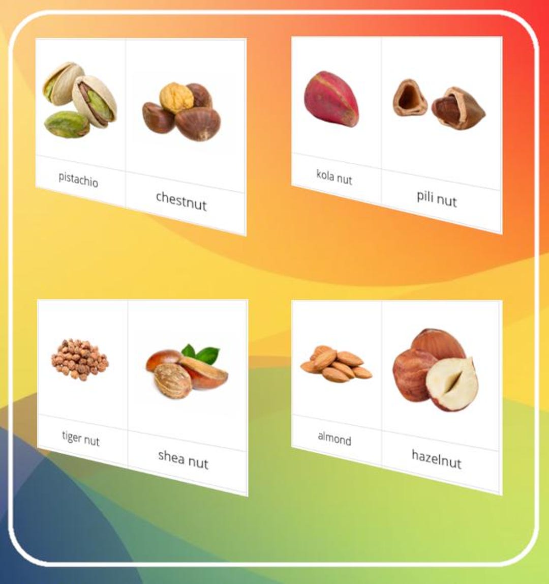 Montessori - Flash Cards Set for 24 Types of Tree Nuts - Etsy