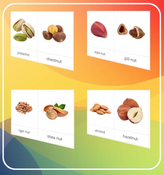 Types Of Tree Nuts With Pictures And Names