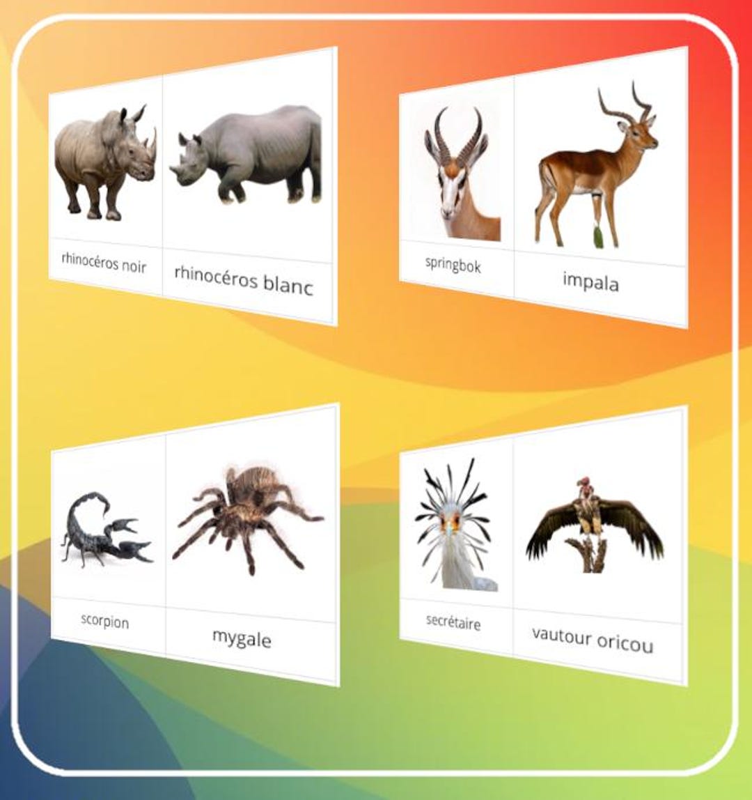 Montessori - Nomenclature Card of 44 African Animals / Script and ...