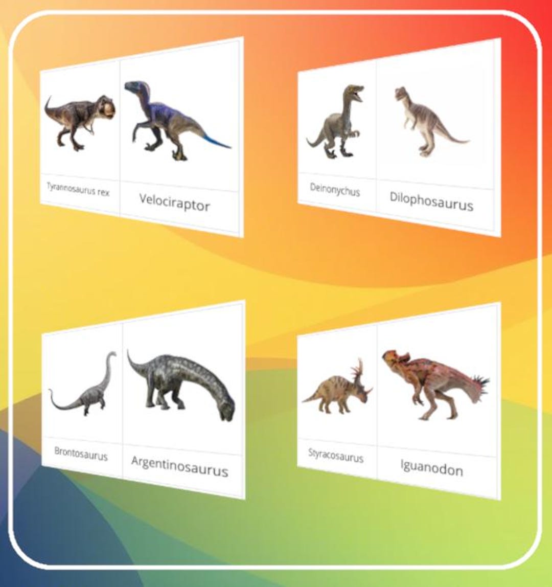Montessori - 30 Types of Dinosaurs Nomenclature Card / Script and ...