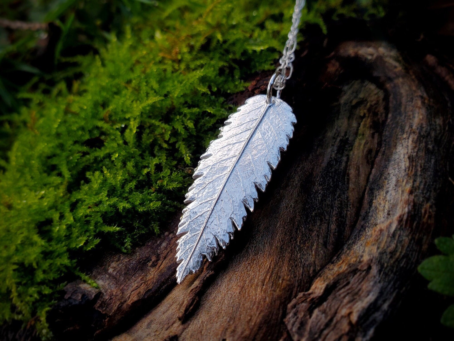 Sorbus Aucuparia - Rowan Tree (mountain Ash) Cut Out -pure Silver Real ...