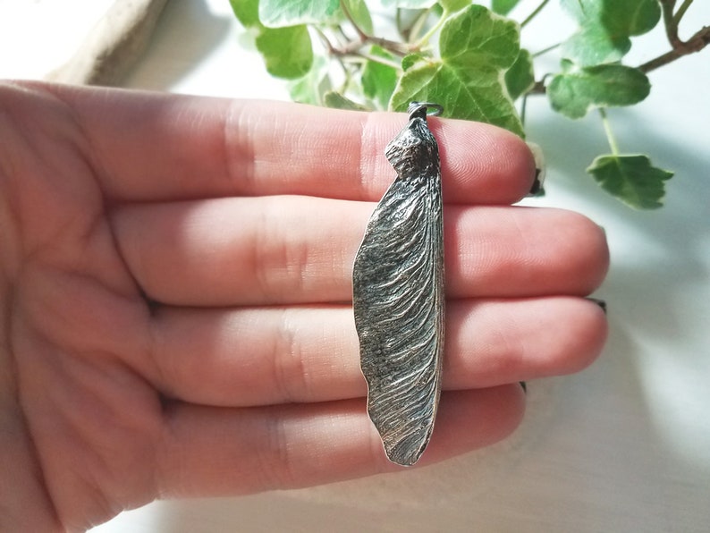 Acer spp. Large Maple Samara Seed Fine Silver Botanical | Etsy