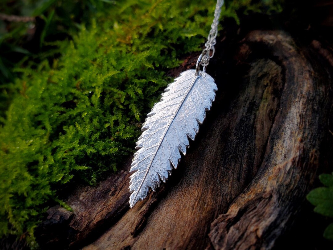 Sorbus Aucuparia Rowan Tree mountain Ash Cut Out pure Silver Real Leaf ...